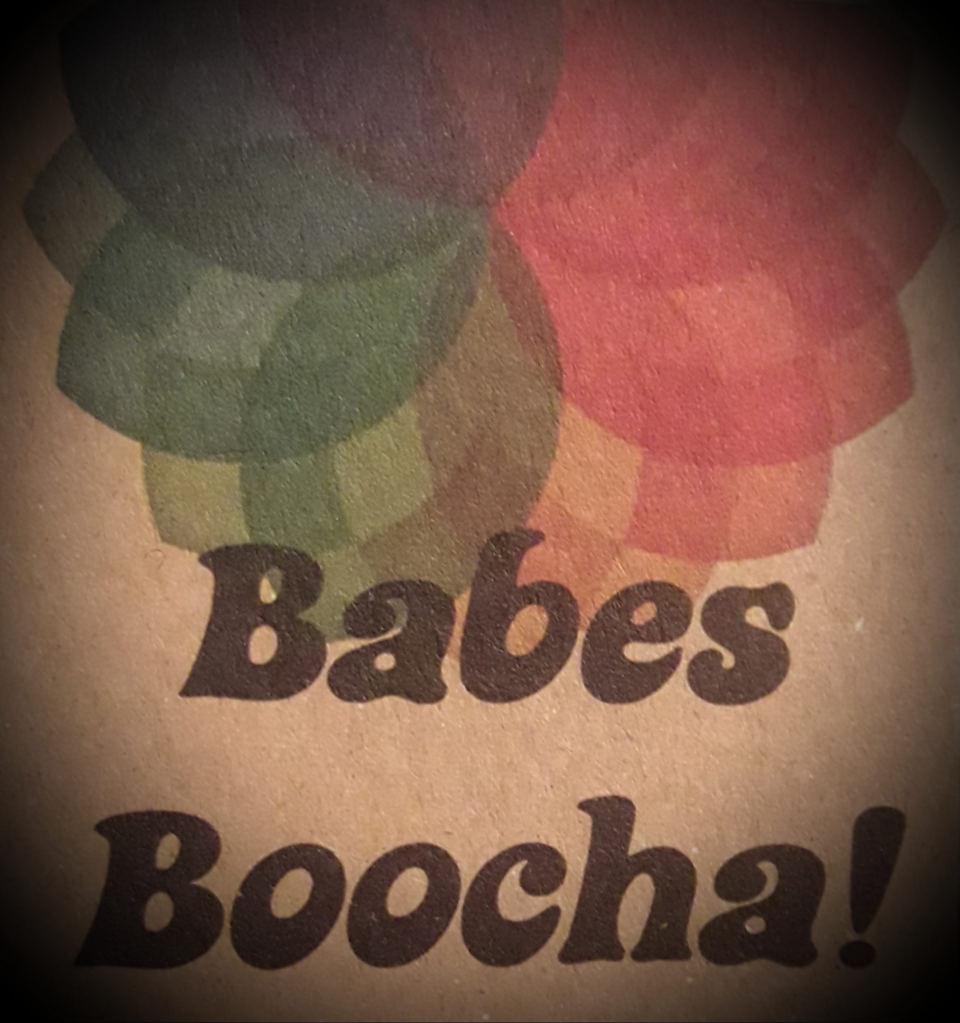 Babes Boocha! (CAN) - Kombucha Brewers International