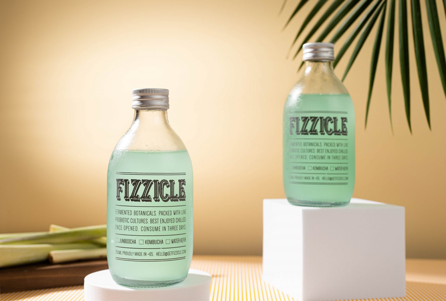 Meet Our Members – Fizzicle Kombucha and Kefir - Kombucha Brewers ...