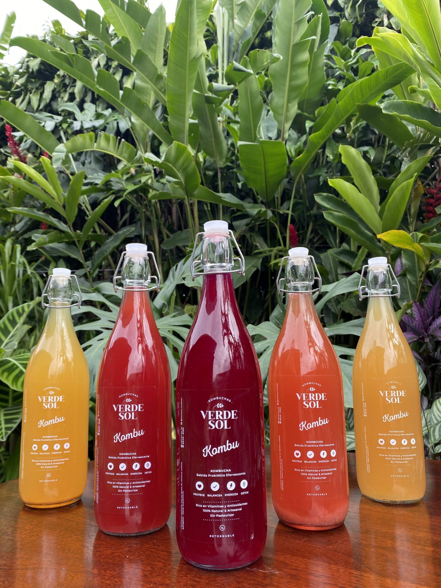 Meet Our Members – Verde Sol (CRI) - Kombucha Brewers International