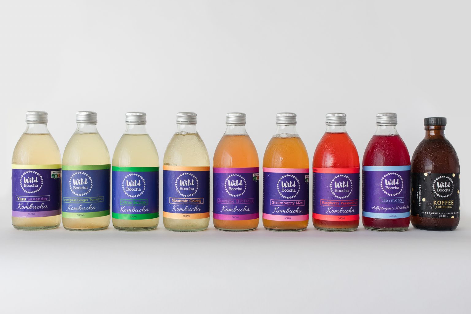 Meet Our Members – Wild Boocha Kombucha (SGP) - Kombucha Brewers ...